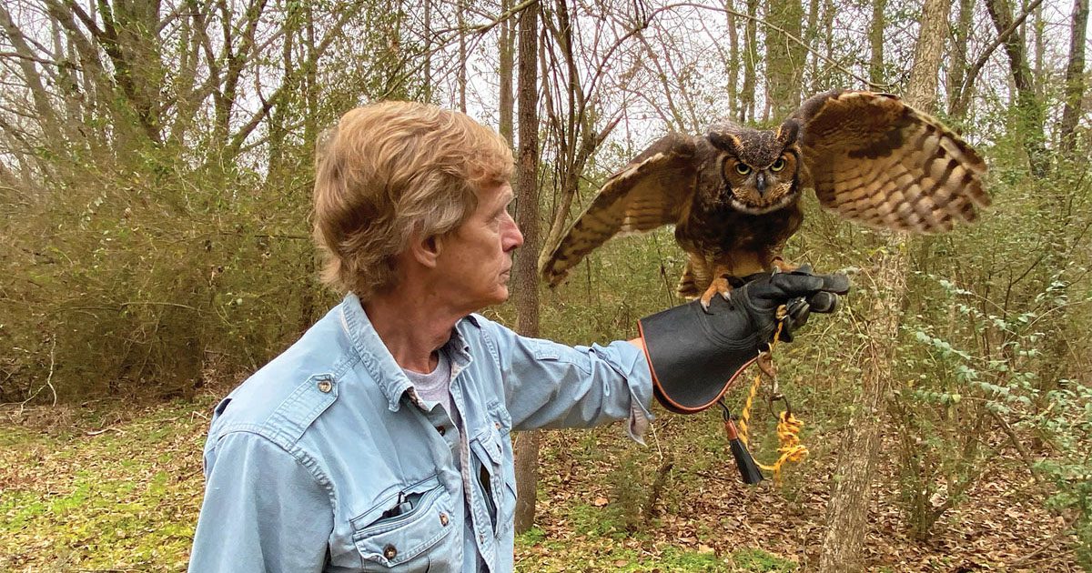 501 LIFE Magazine | El Paso’s Rodney Paul working to rehabilitate large ...