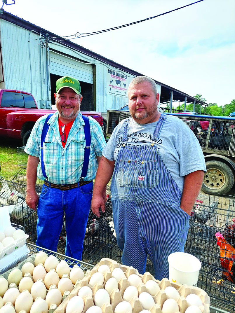 501 LIFE Magazine | Chick magnates