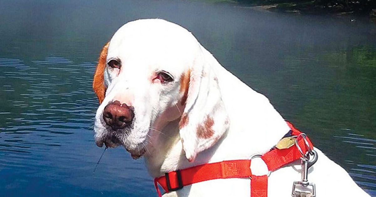 501 LIFE Magazine | The backroads barker