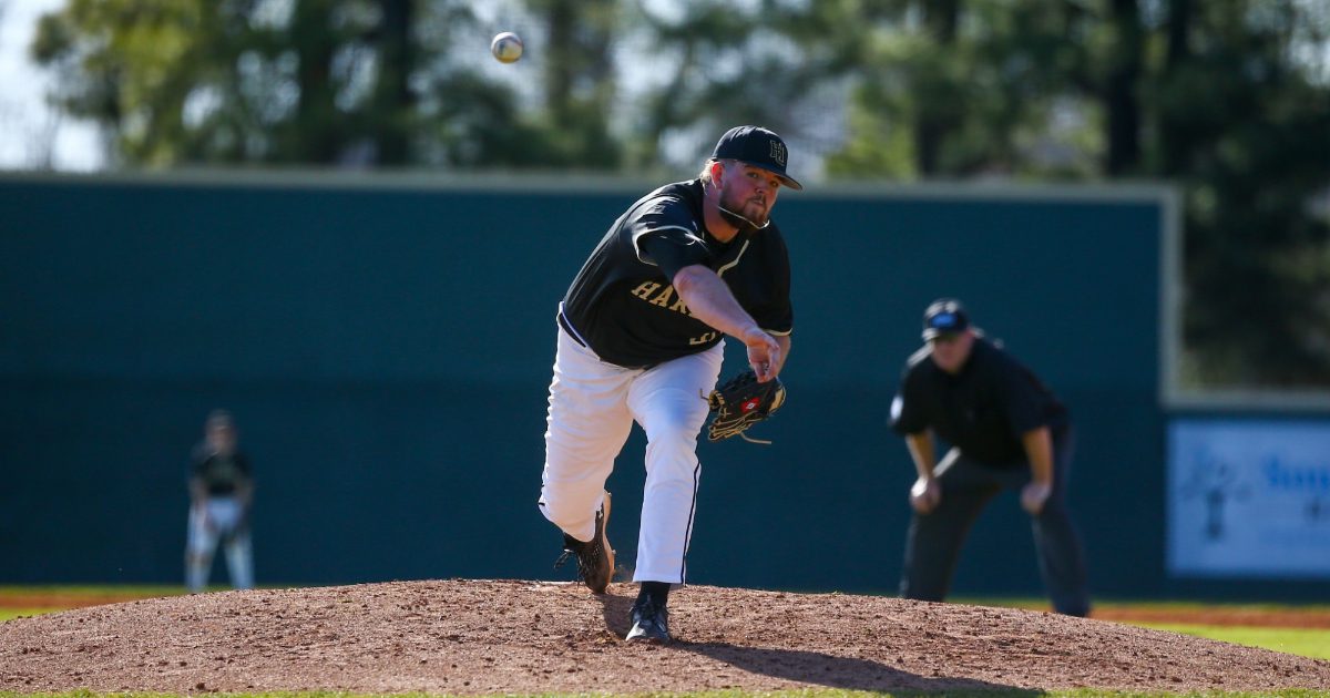 501 LIFE Magazine | Harding’s mid-summer baseball update