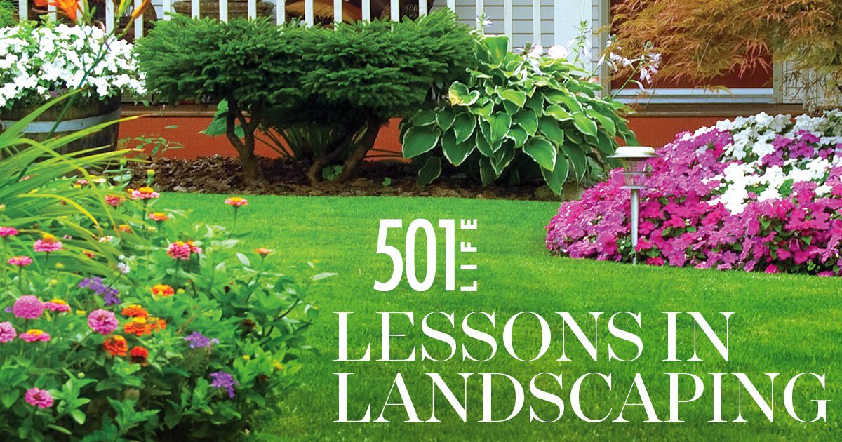 501 LIFE Magazine | Lessons in landscaping