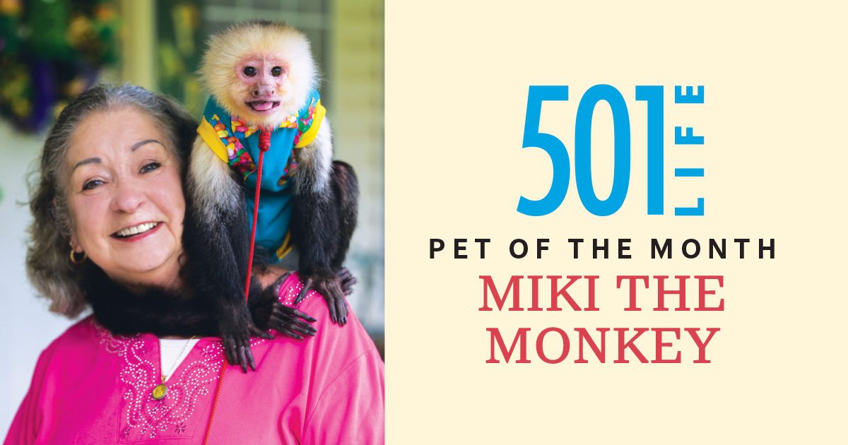 501 LIFE Magazine | Pet of the Month: Miki the monkey