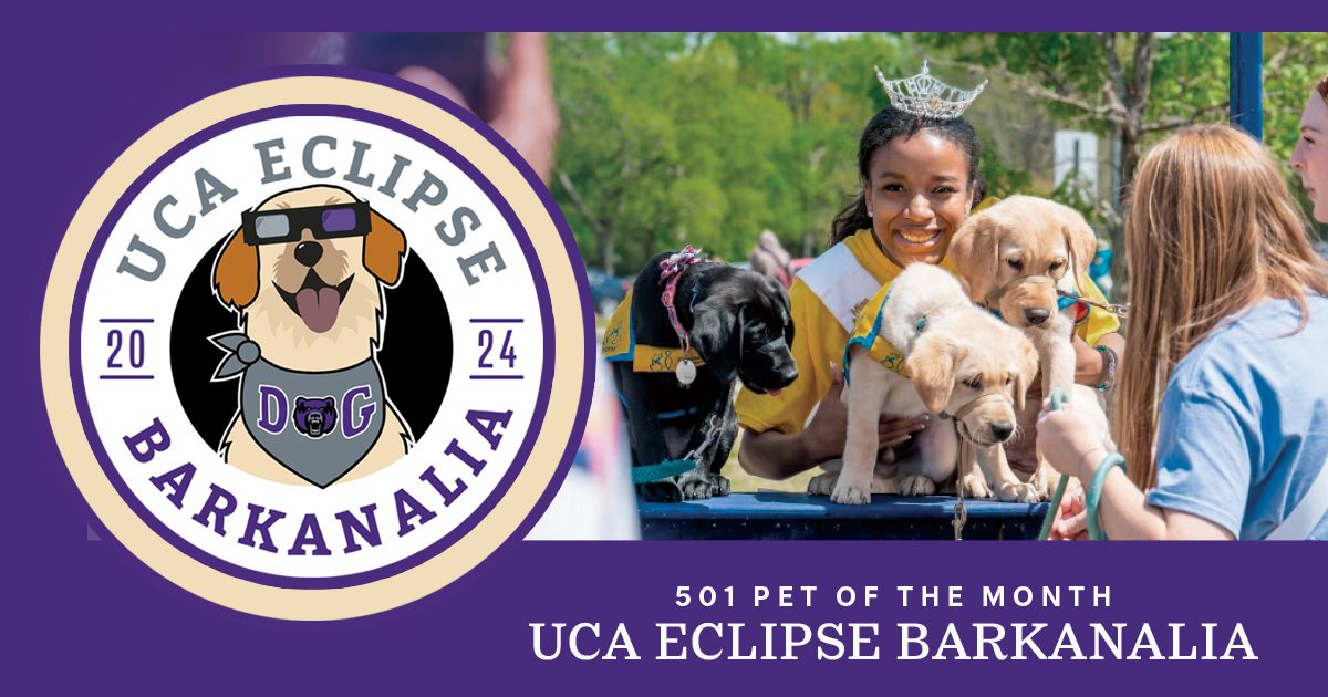 501 LIFE Magazine | Pet of the Month: UCA Eclipse Barkanalia