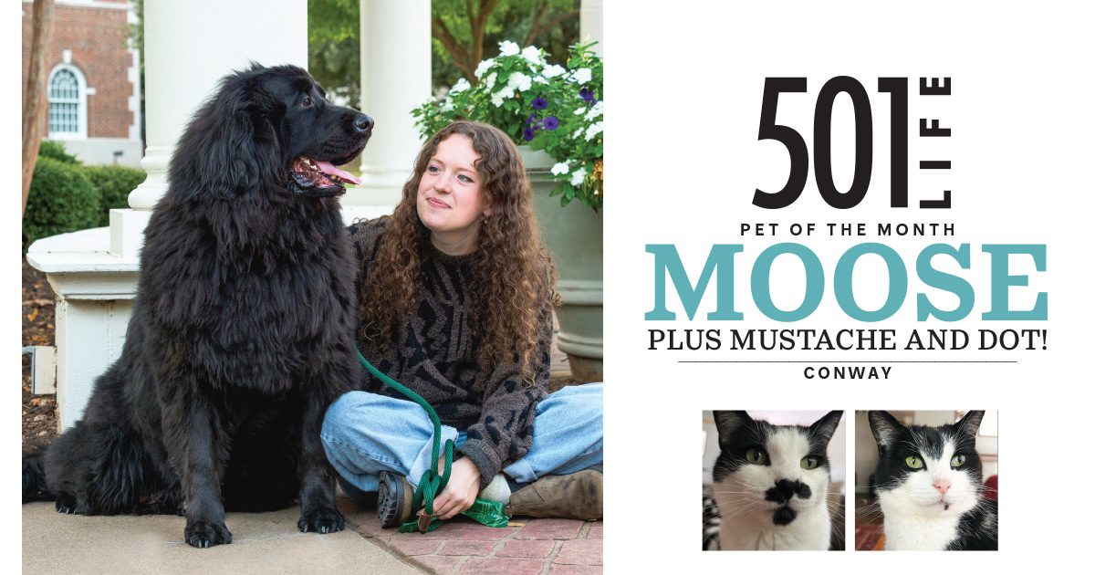 501 LIFE Magazine | Pet of the Month: Moose plus Mustache and Dot!