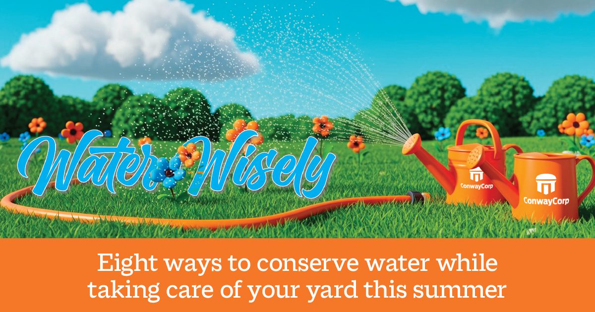 501 LIFE Magazine | Eight ways to conserve water while taking care of ...