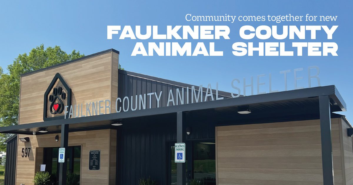 501 LIFE Magazine | Pet of the Month: Faulkner County Animal Shelter