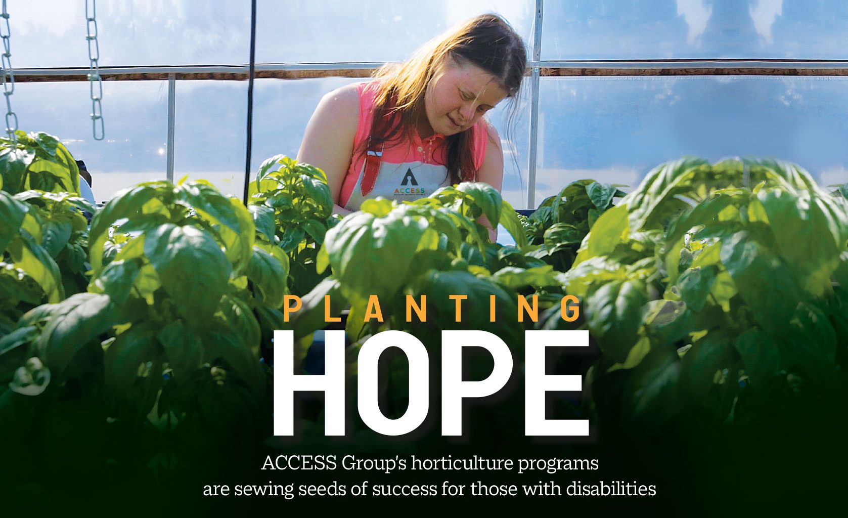 501 LIFE Magazine | Celebrating Greater Central Arkansas