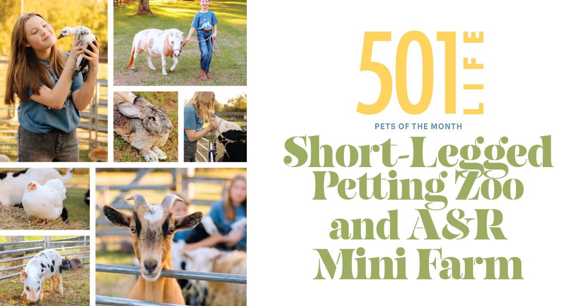 501 LIFE Magazine | Pets of the Month: Short-Legged Petting Zoo and A&R ...