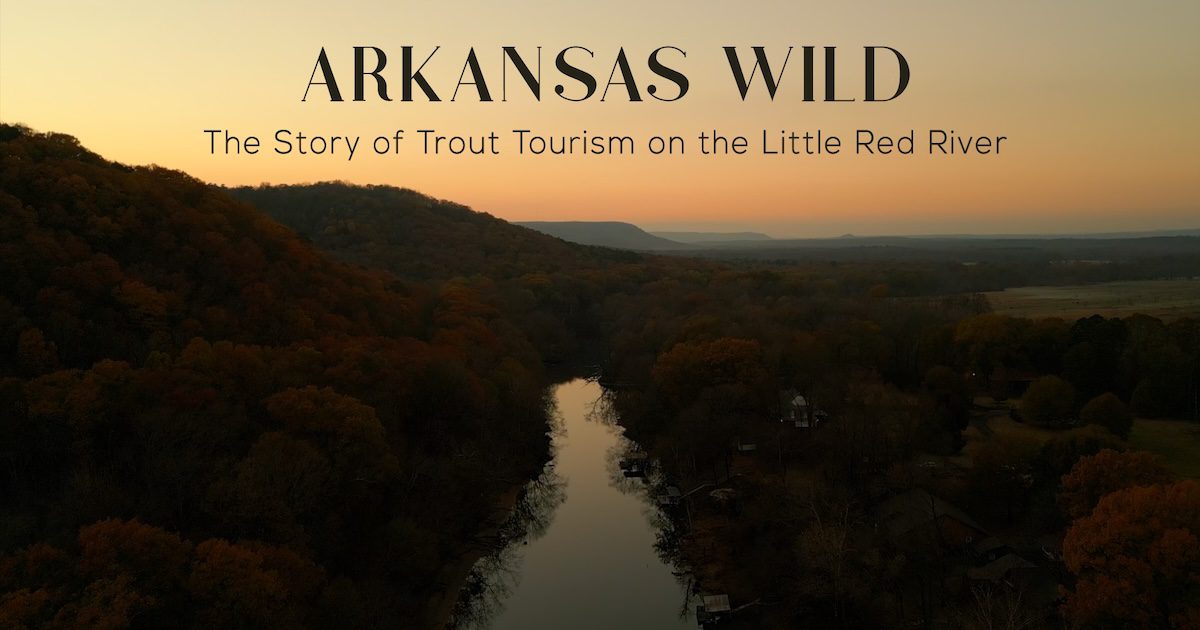 501 LIFE Magazine | Encore of ‘Arkansas Wild’ to air Nov. 27 on ...
